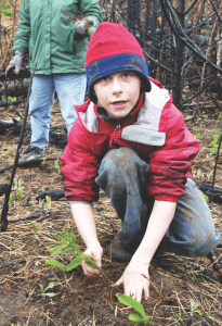 Stories From the Ham Lake Fire | Quetico Superior Wilderness News