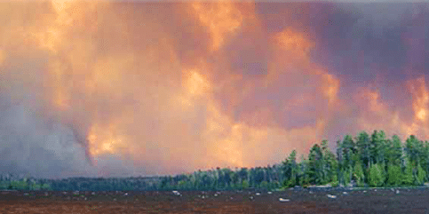 Pagami Fire Area Reopening in BWCAW | Quetico Superior Wilderness News