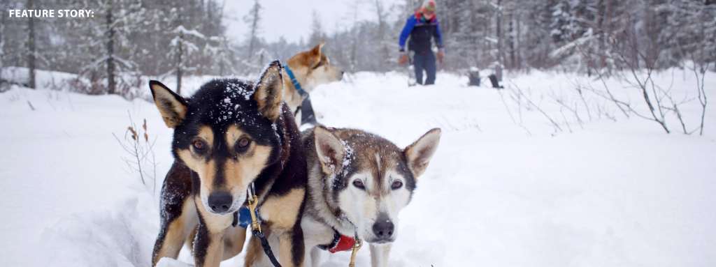 Meet Amy Freeman, Wilderness Guide | Quetico Superior Wilderness News