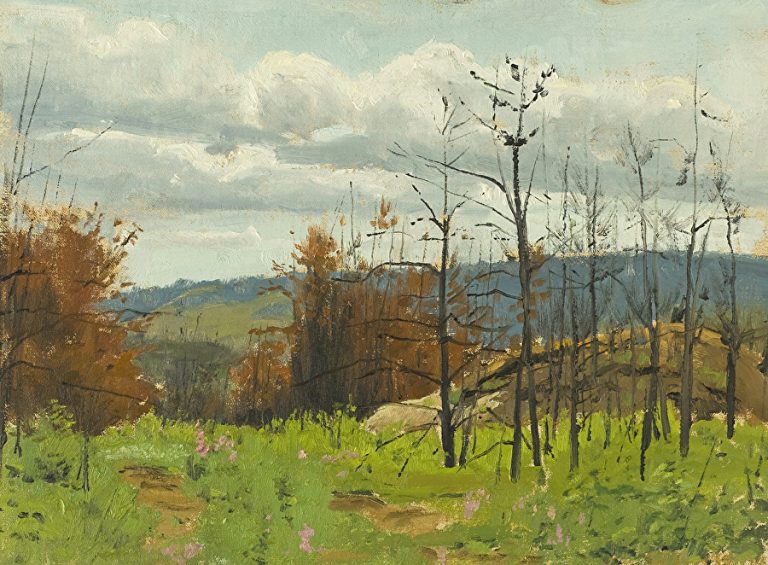 Painter captures forest regeneration after the Ham Lake Fire