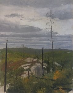 Painter captures forest regeneration after the Ham Lake Fire