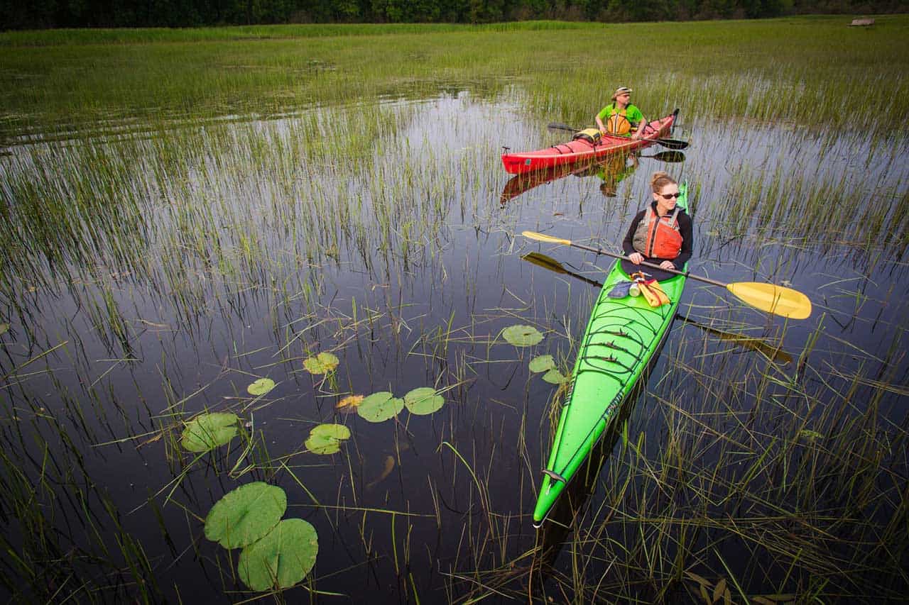 Restoring a River - The Minnesota Land Trust partners on restoration ...