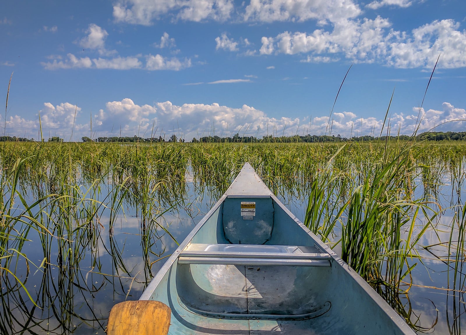 EPA says Minnesota can't ignore wild rice problems caused by mining