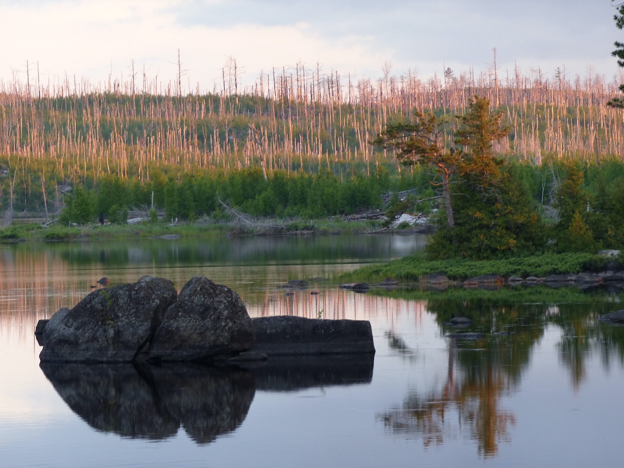 10 years after the Pagami Creek Fire in the BWCA