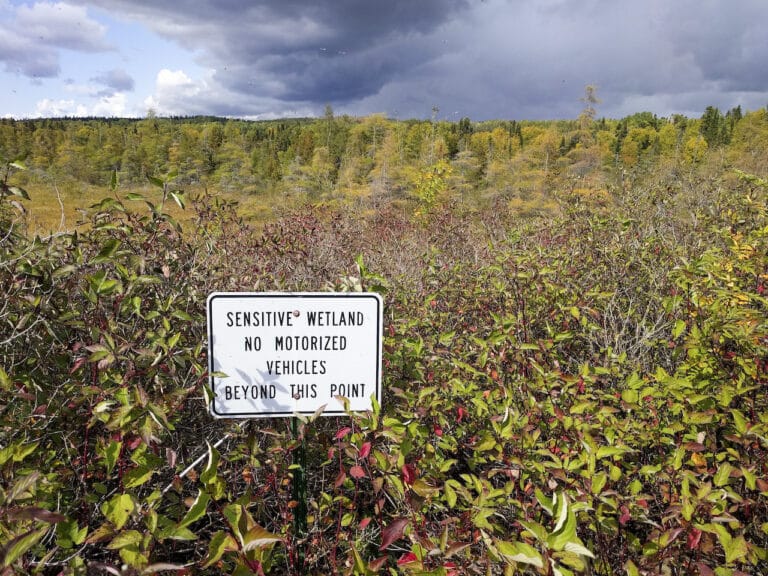 Unique North Shore wetland to preserve rare plants with public access ...