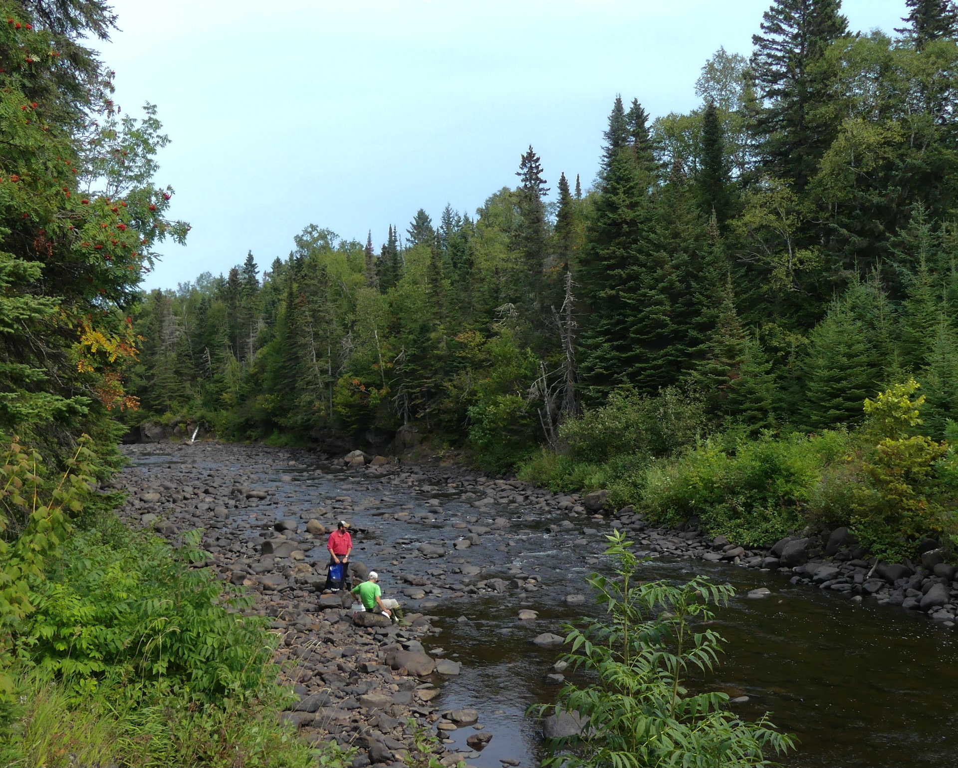 Rock snot: harmful algae sneaks into North Shore rivers