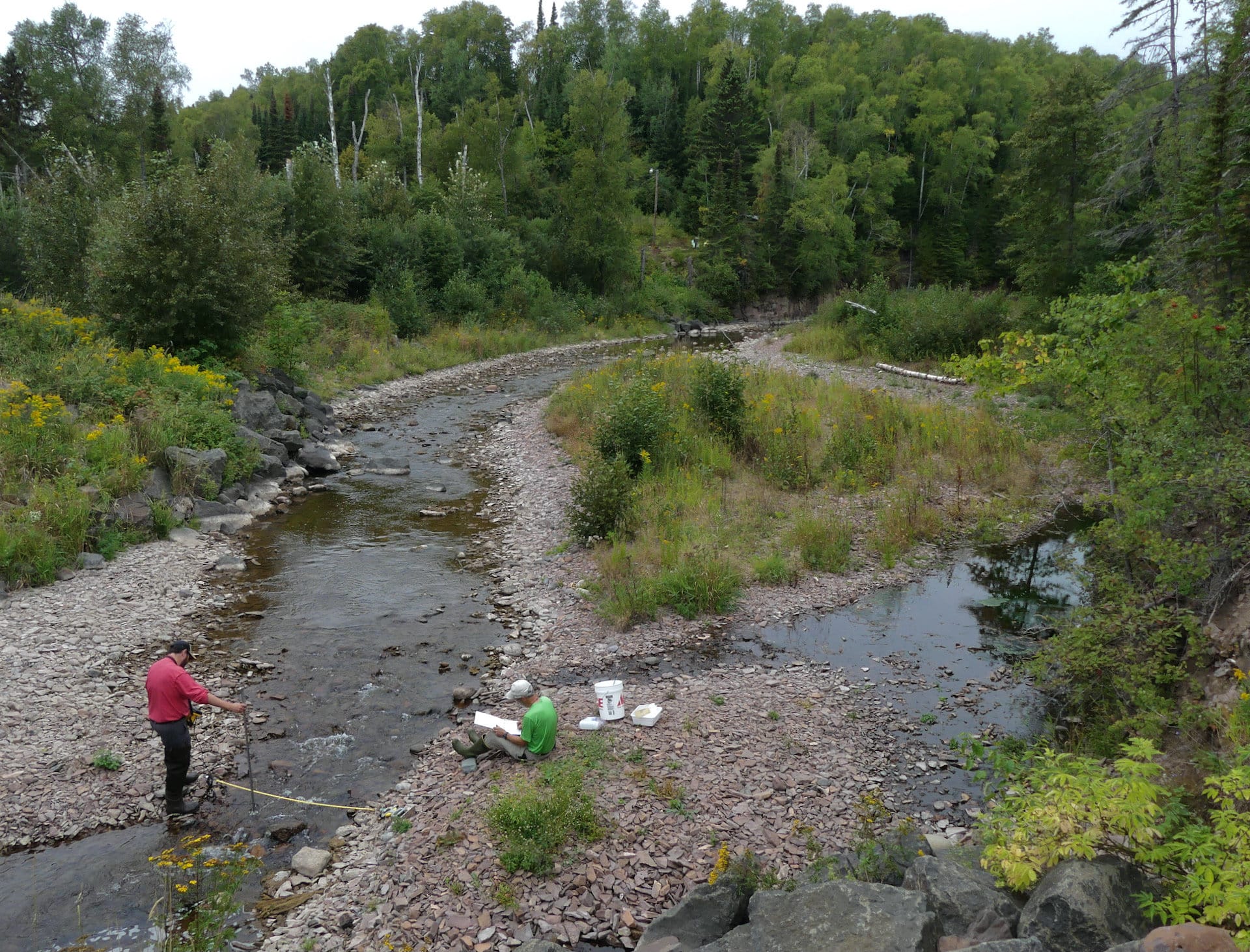 Rock snot: harmful algae sneaks into North Shore rivers