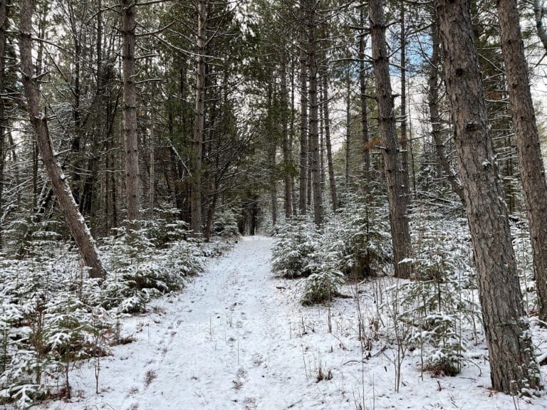 A winter weekend at Lake Vermilion State Park: new camper cabins, hikes