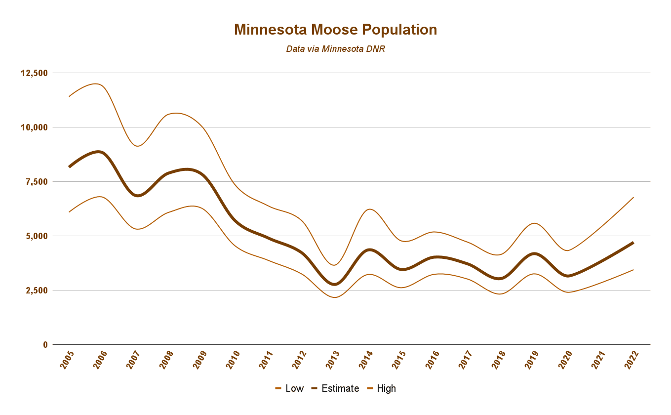 Signs of hope for Minnesota's moose population