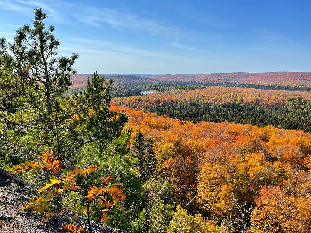5 tips to enjoy fall colors in Minnesota without the crowds