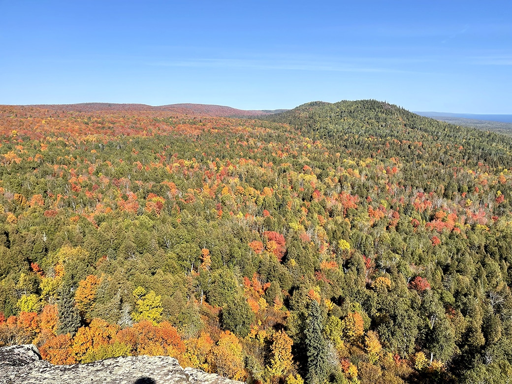 In search of fall colors at Oberg and Leveaux Mountains