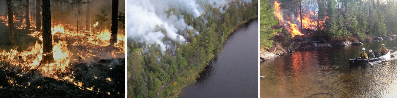 BWCAW wildfire management report explains options and benefits