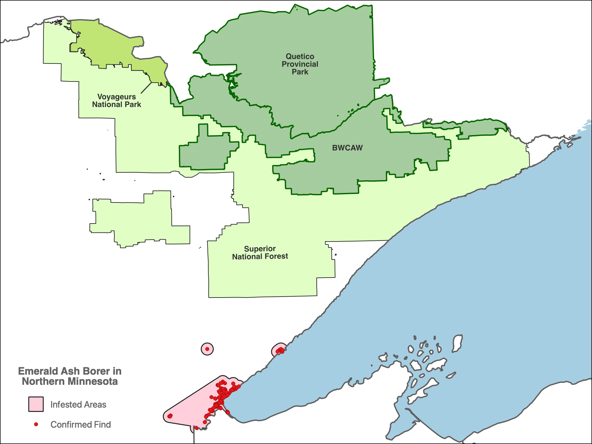 Emerald ash borer threatens Minnesota's forested wetlands