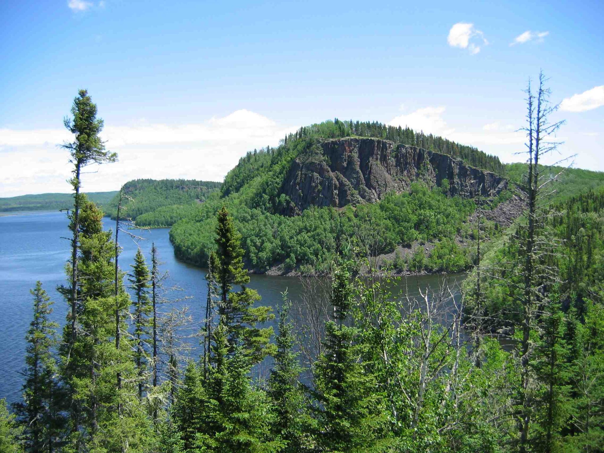 Rare arctic plants cling to existence in Boundary Waters