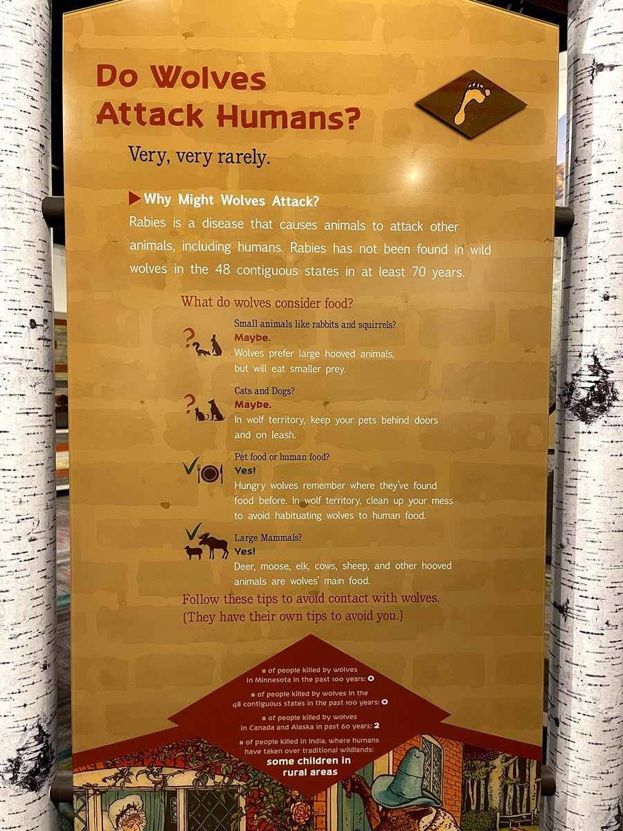 Wildlife safety tips for your trip to the arrowhead region of MN