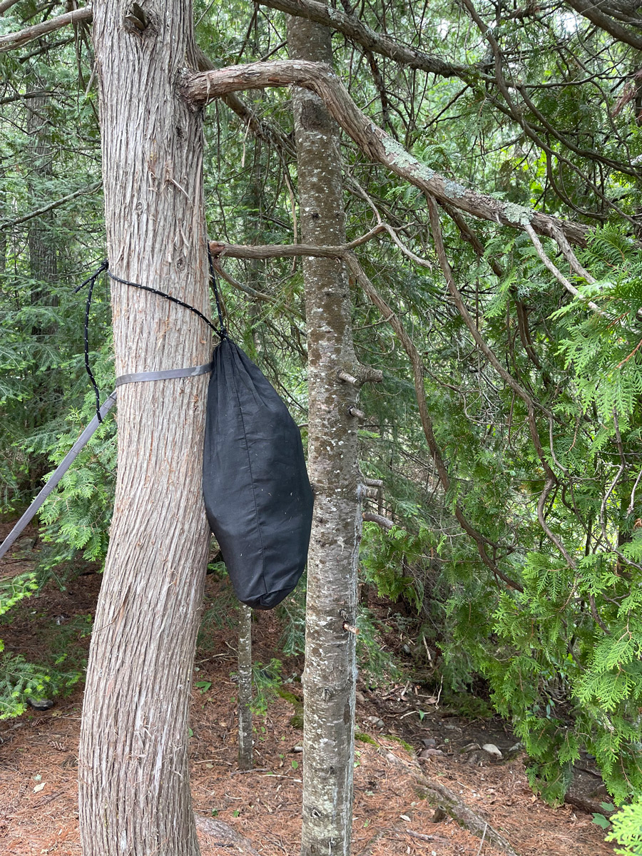 Wildlife safety tips for your trip to the arrowhead region of MN