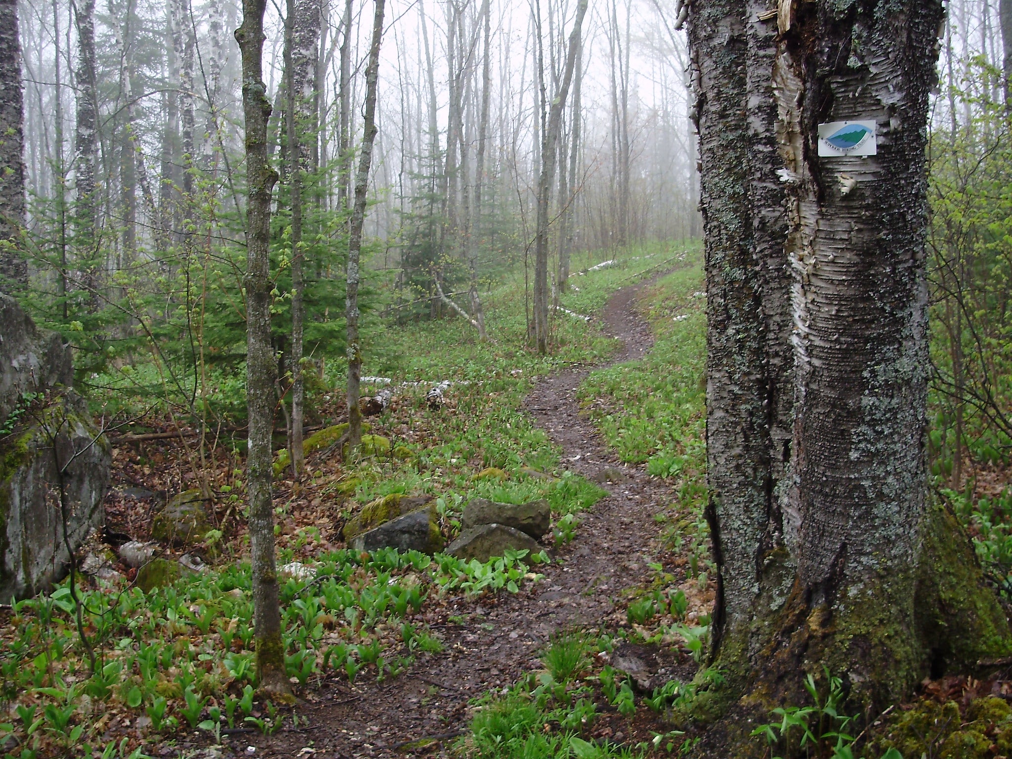 Northern MN natural resources to receive state funding