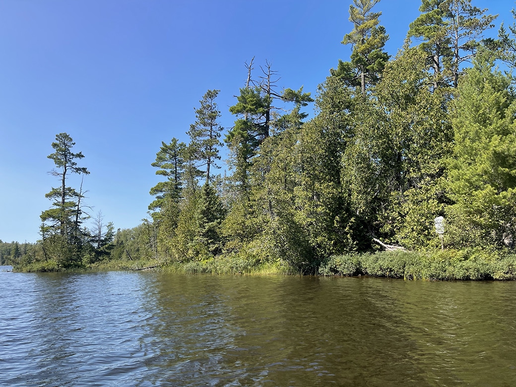 3 campgrounds in Superior National Forest perfect for beginners