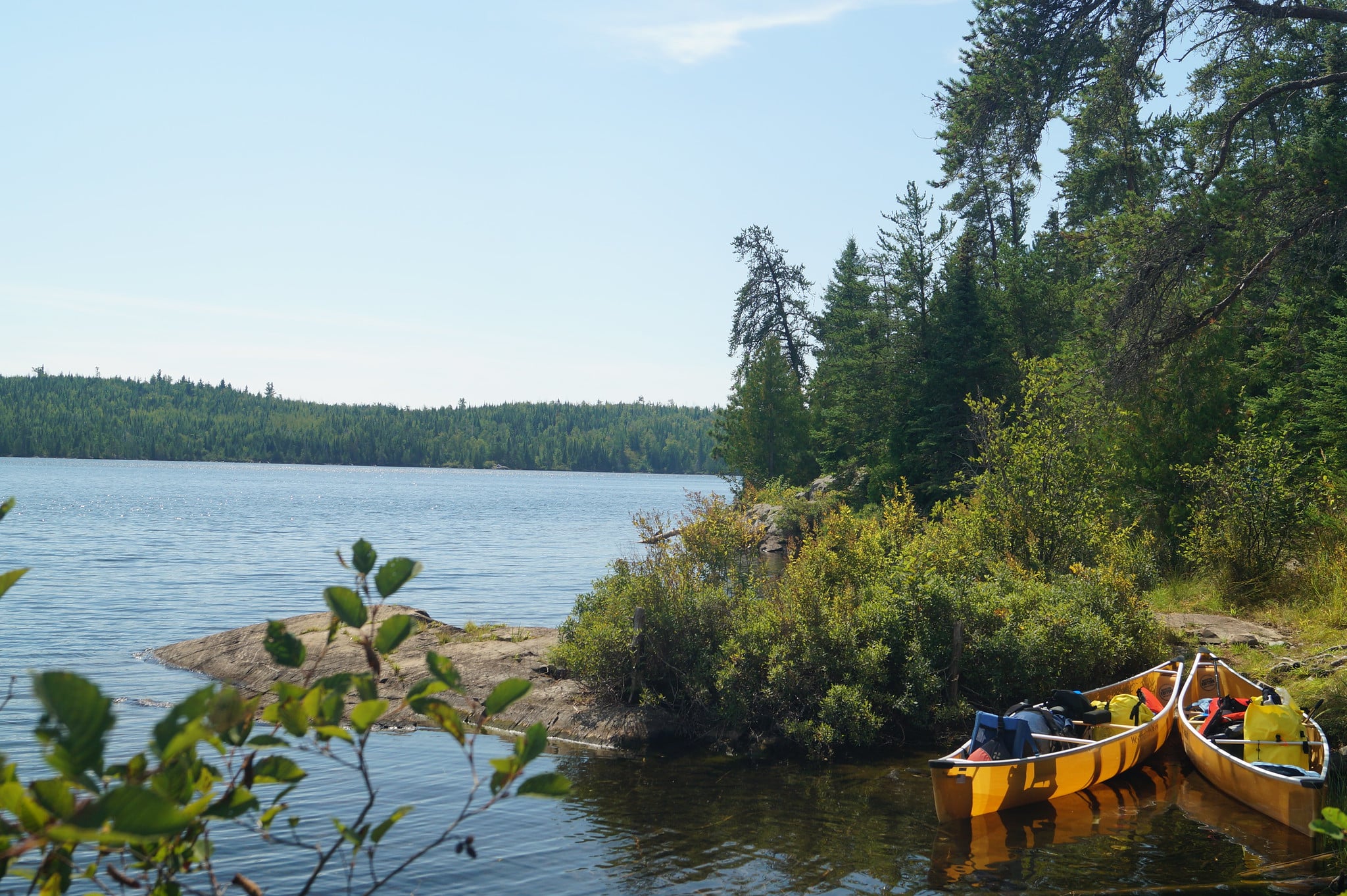 New BWCA report calls for more public engagement