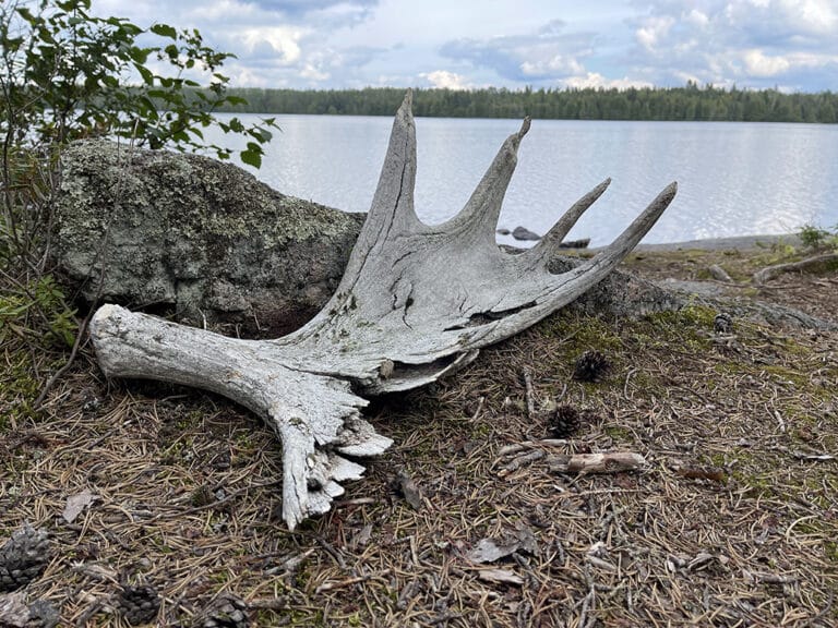 Plan the perfect BWCA day trip