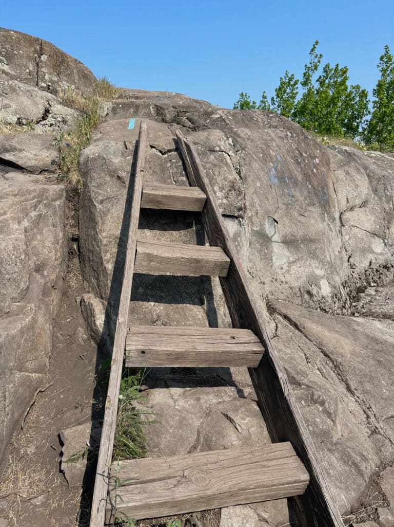 Ely’s Peak – an SHT loop hike perfect for any season