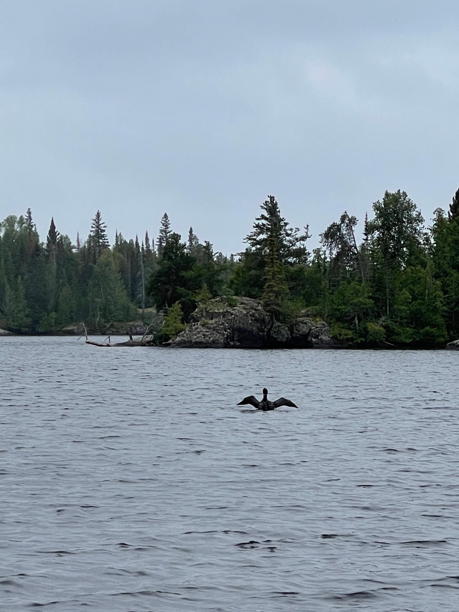 An unforgettable 12-day journey through the heart of the BWCA