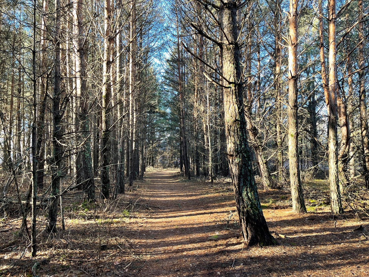 The most unique hike in Duluth that you’ve probably never heard of