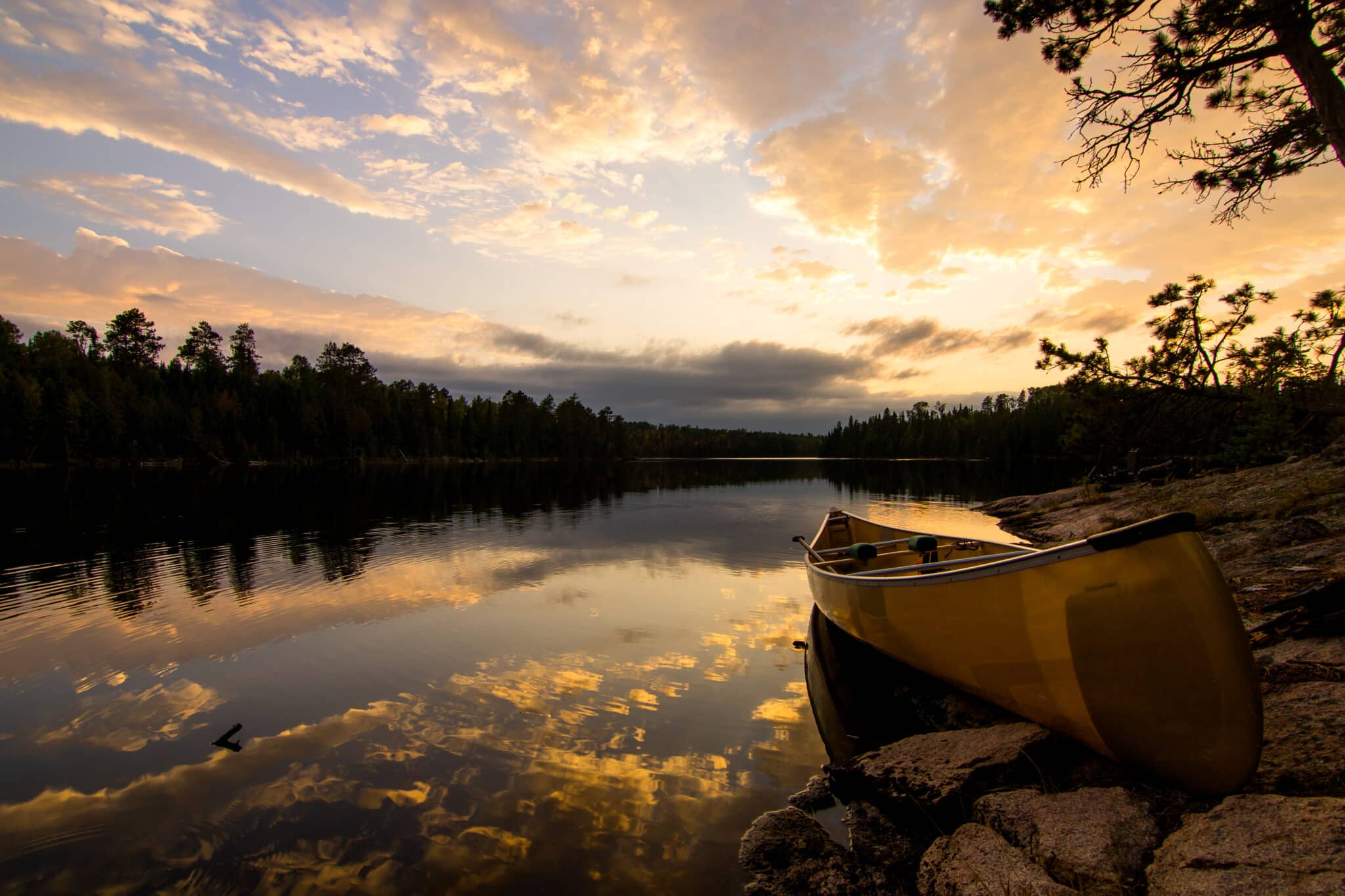 New BWCAW Collaborative with USFS works on forest stewardship