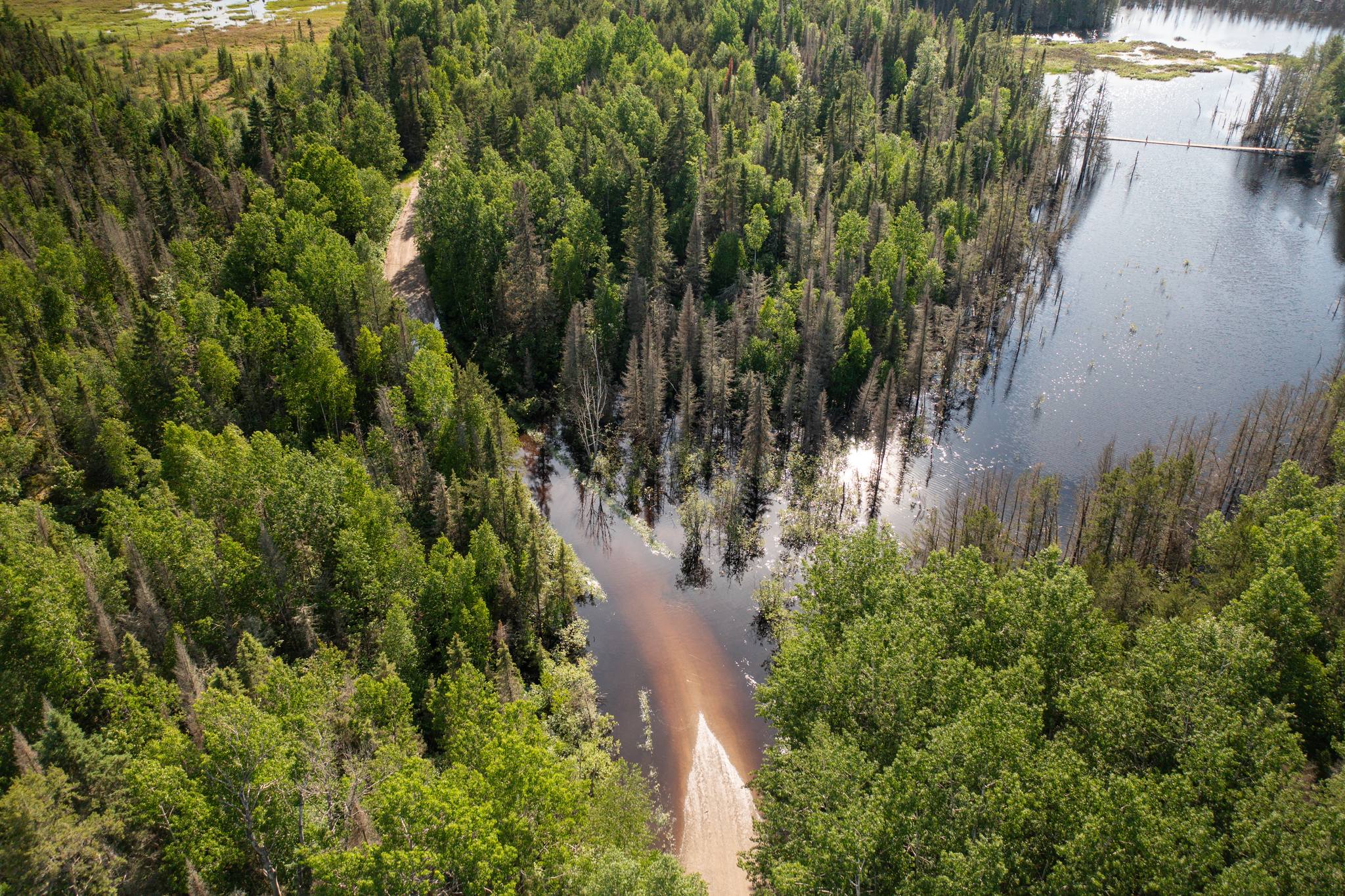 Quetico Superior Foundation | Quetico Superior Wilderness News