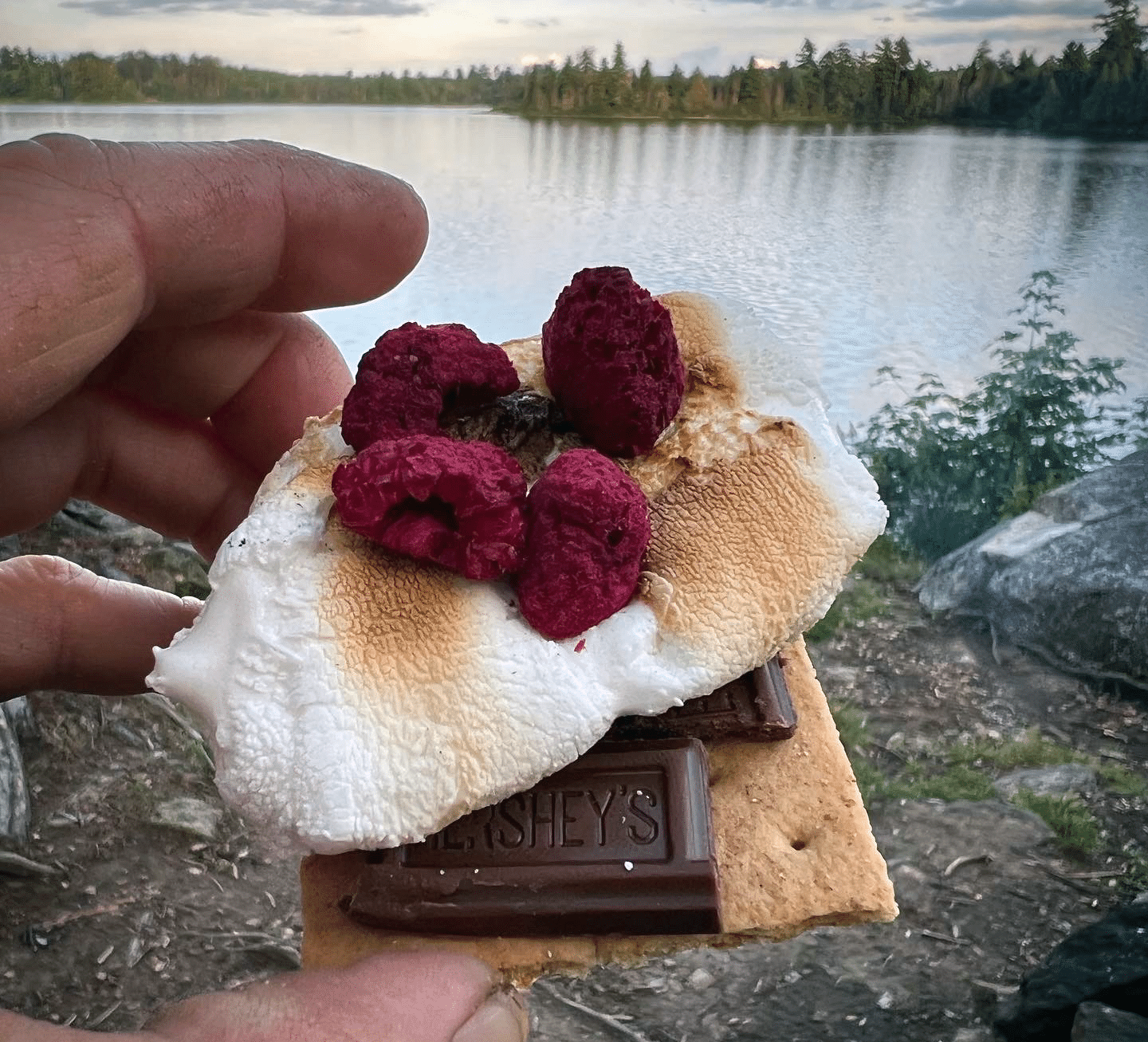 Foraging wild edibles in the Superior National Forest