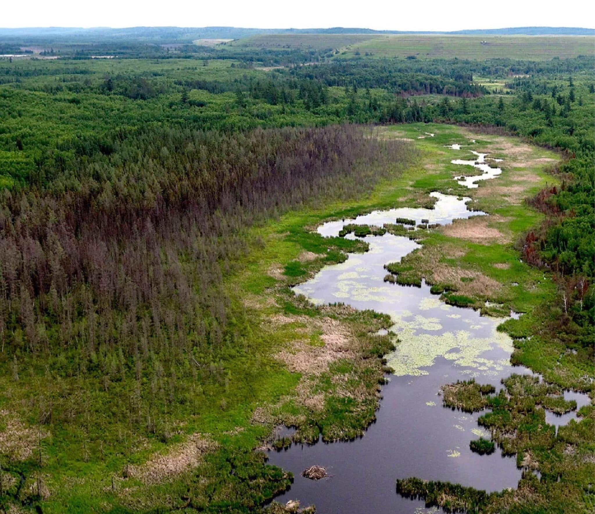 Minnesota DNR suspends review of PolyMet mine project