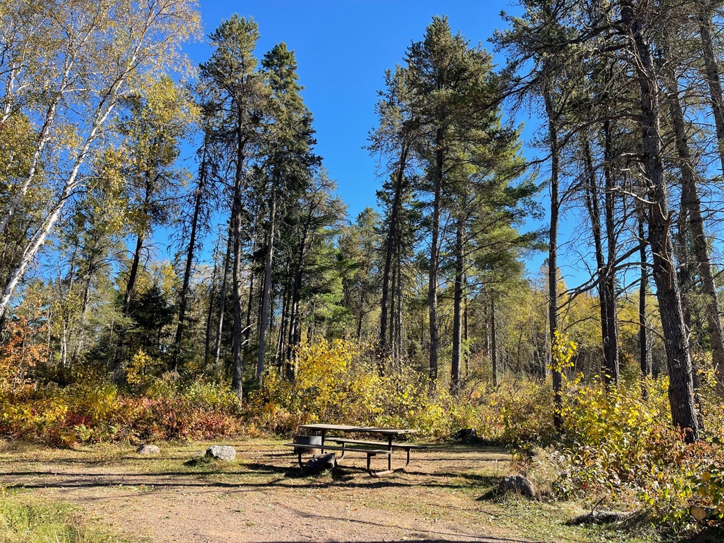 Northeast Minnesota’s best-kept secret – 5 fabulous State Forests