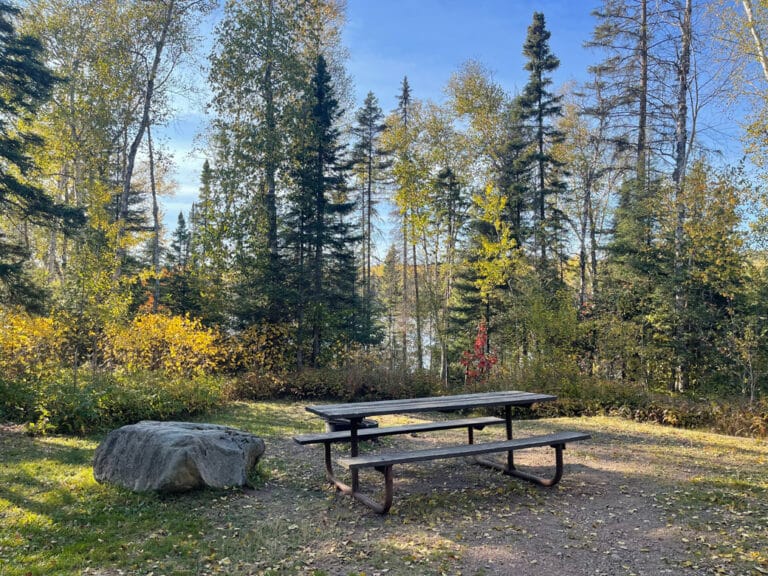 Northeast Minnesota’s best-kept secret – 5 fabulous State Forests