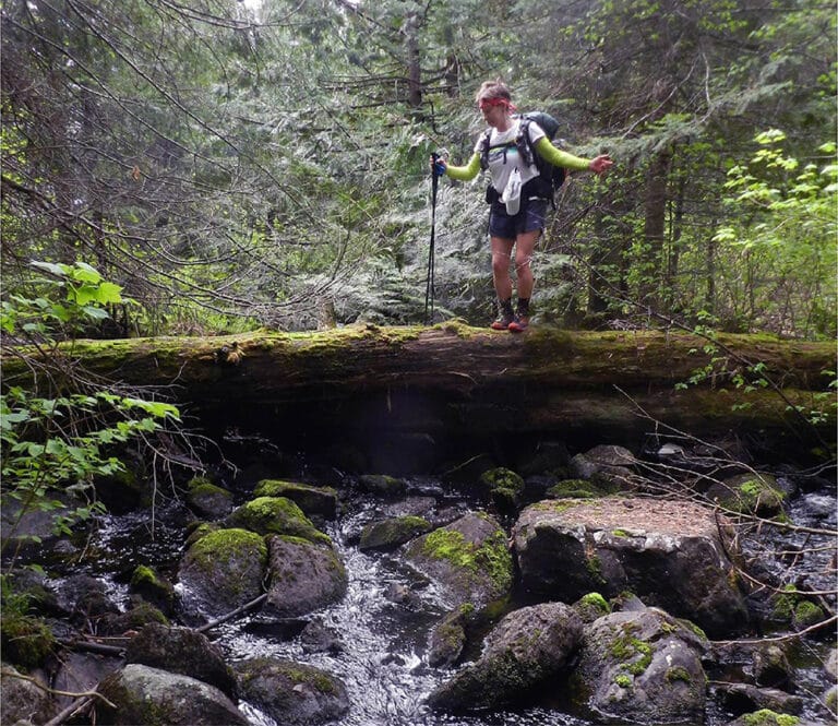 Quetico Superior Wilderness News of the Boundary Waters region