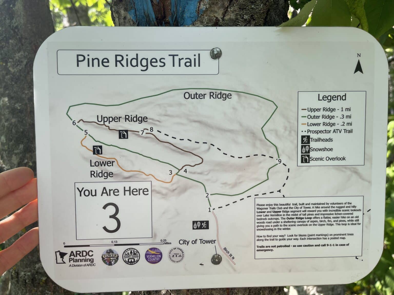 Two magical forest hikes – Pine Ridges and Ancient Cedars Trails