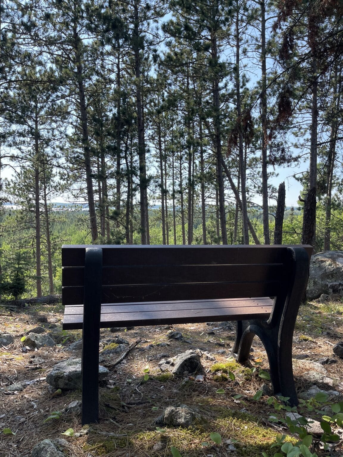 Two magical forest hikes – Pine Ridges and Ancient Cedars Trails