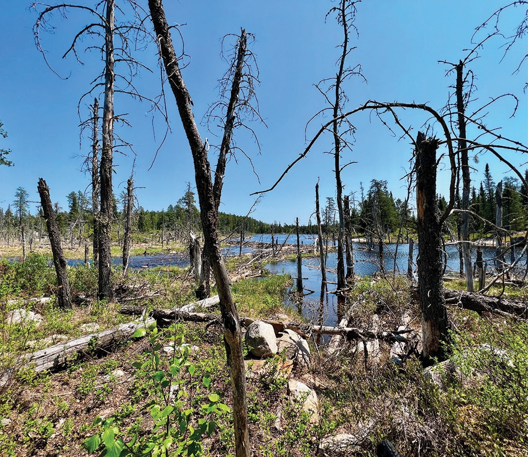 Exploring the Primitive Management Areas of the BWCAW | Quetico ...