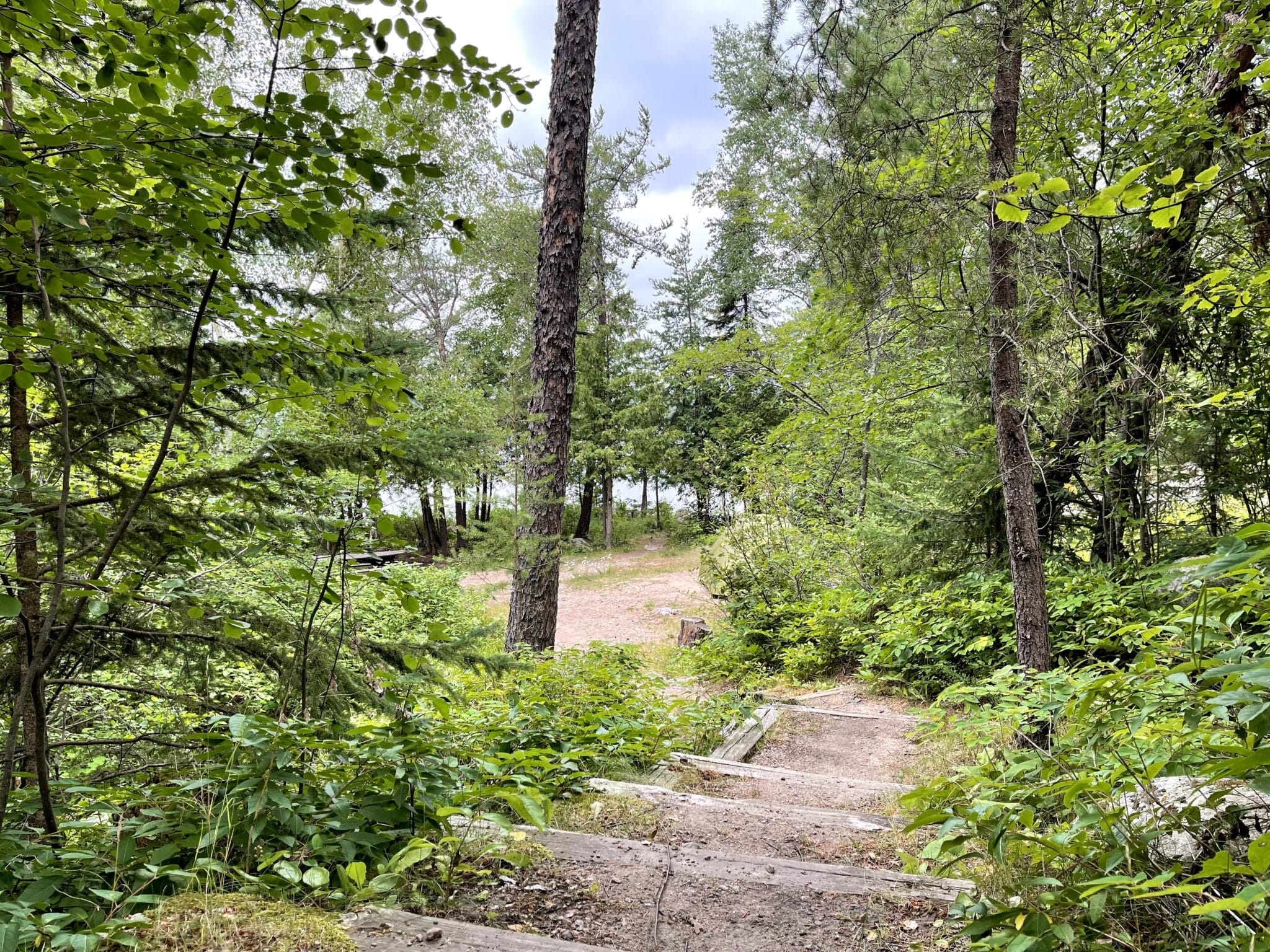 Why you should plan a camping trip to Lake Jeanette this summer ...