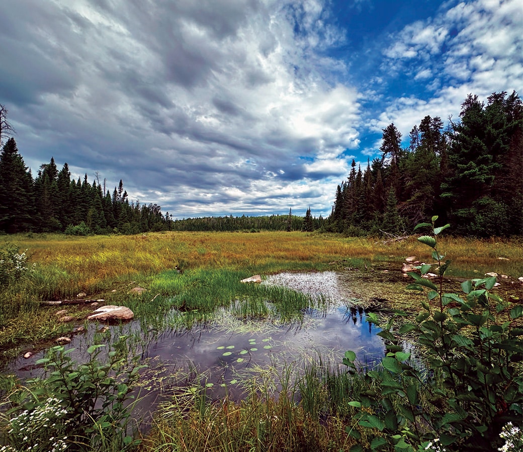 Conservancy aims to obtain 12,000 acres north of Two Harbors | Quetico Superior Wilderness News