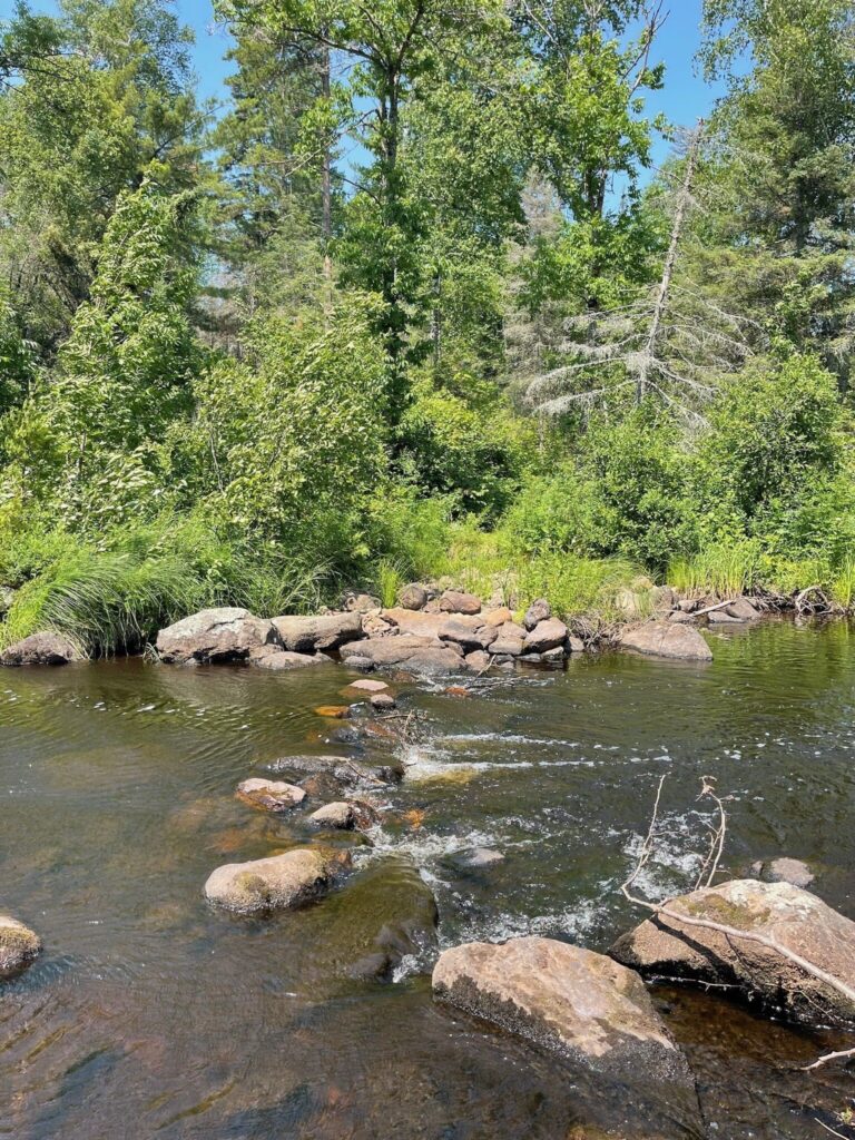 Day Trip: Hiking, Swimming, and Paddling Flathorn Lake