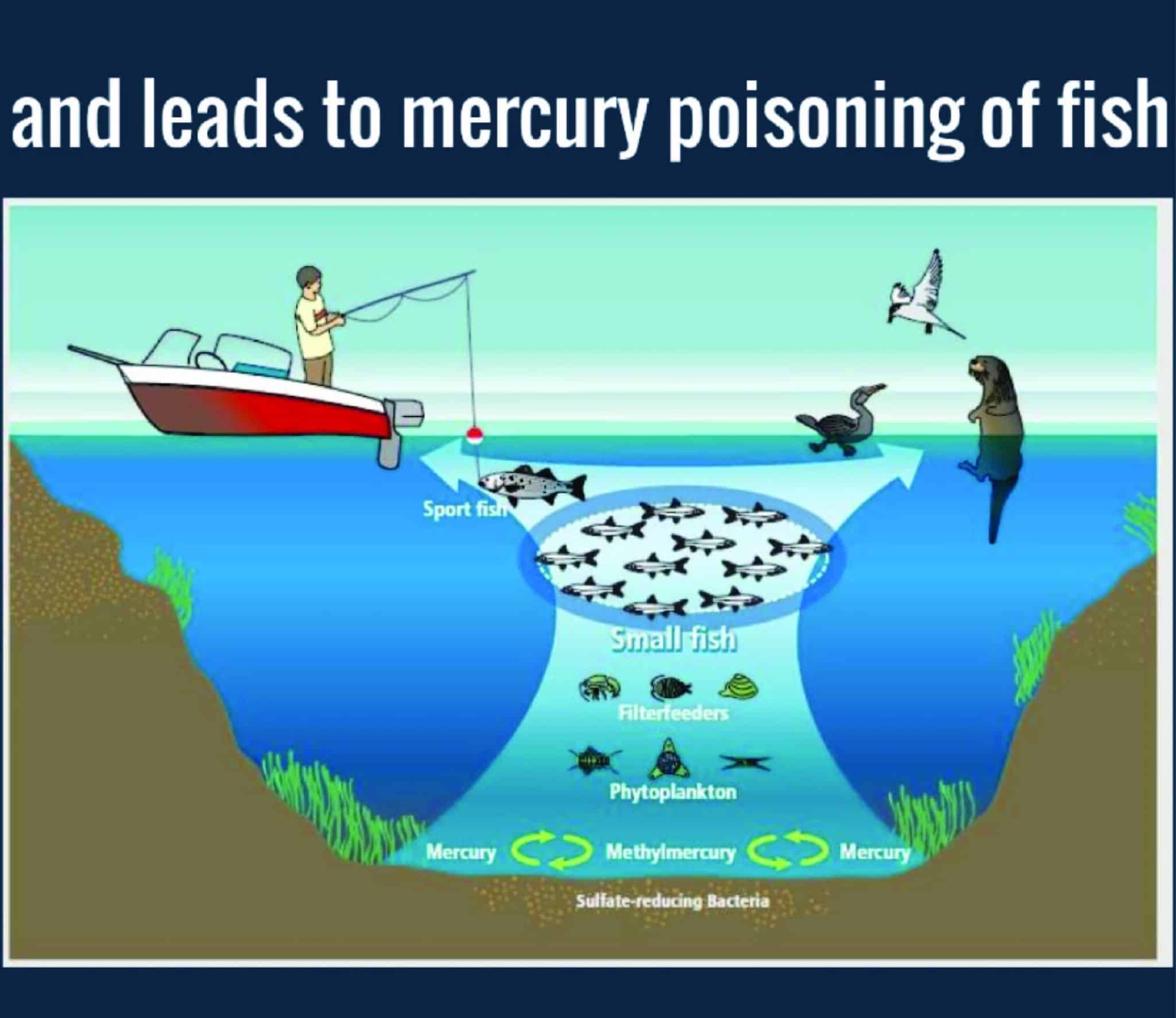 New technology may fight sulfate pollution near BWCAW