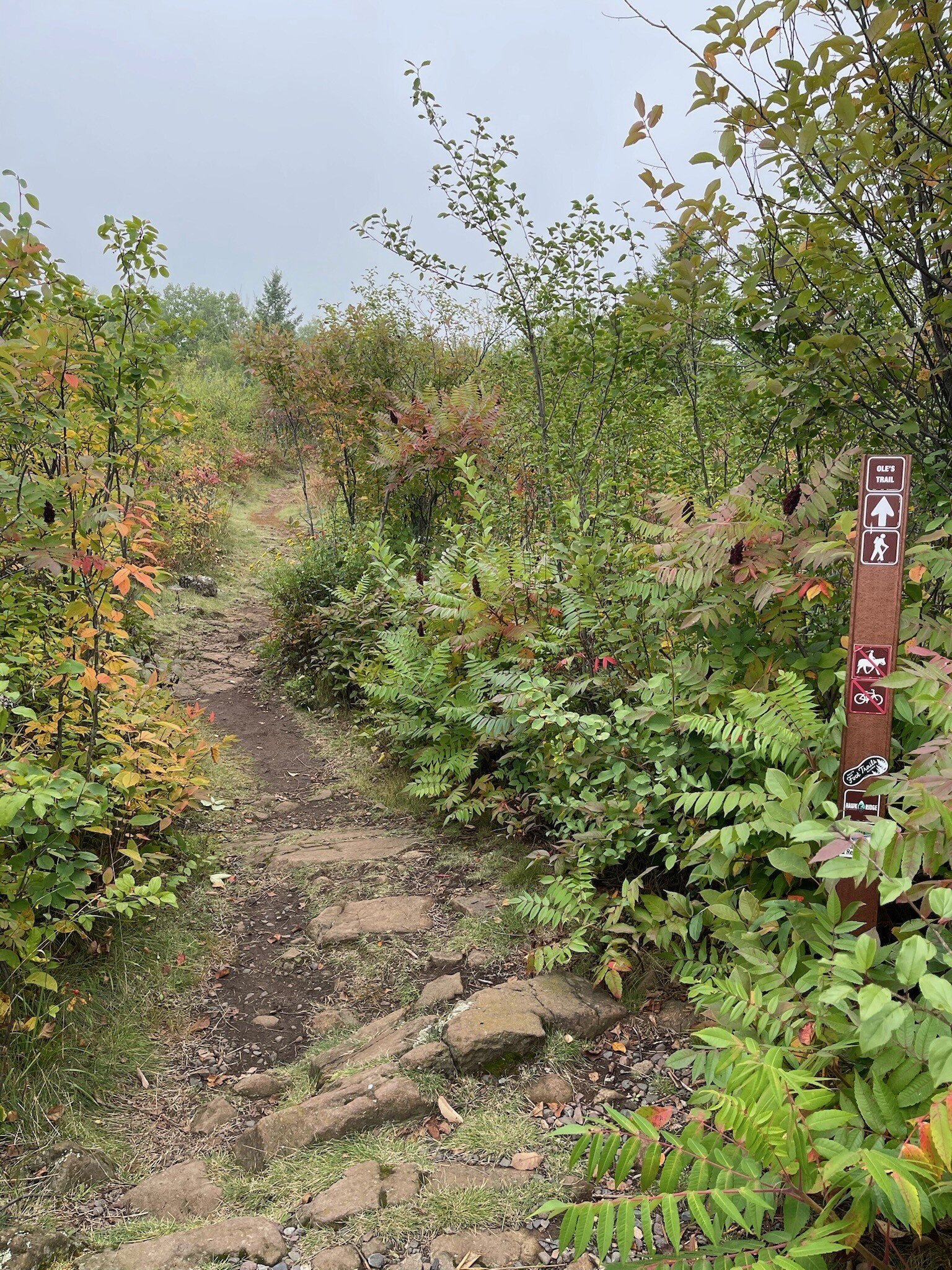 Hawk Ridge Bird Observatory in Duluth, MN