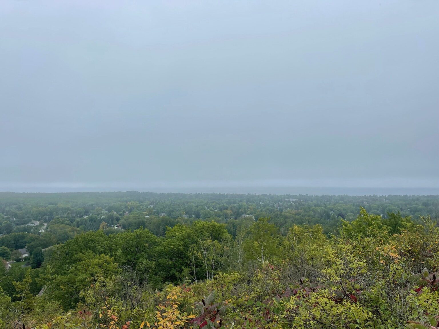 Hawk Ridge Bird Observatory in Duluth, MN