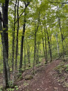 Hawk Ridge Bird Observatory in Duluth, MN