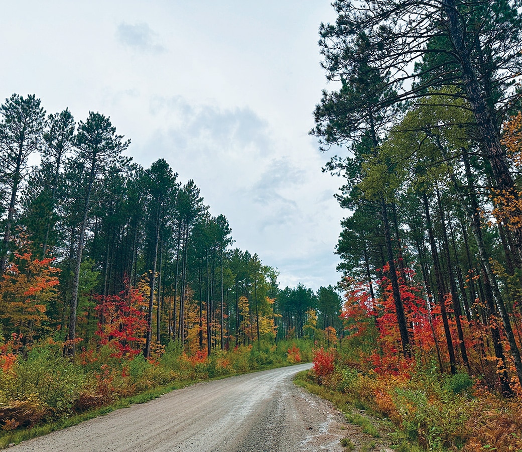 Impact of Reversing the Roadless Rule on Superior National Forest