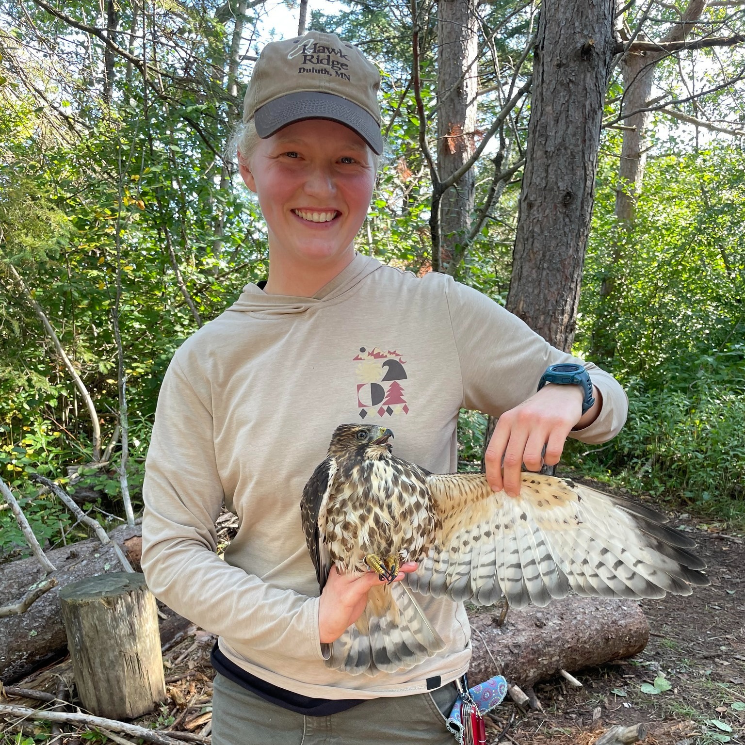 Hawk Ridge Bird Observatory in Duluth, MN