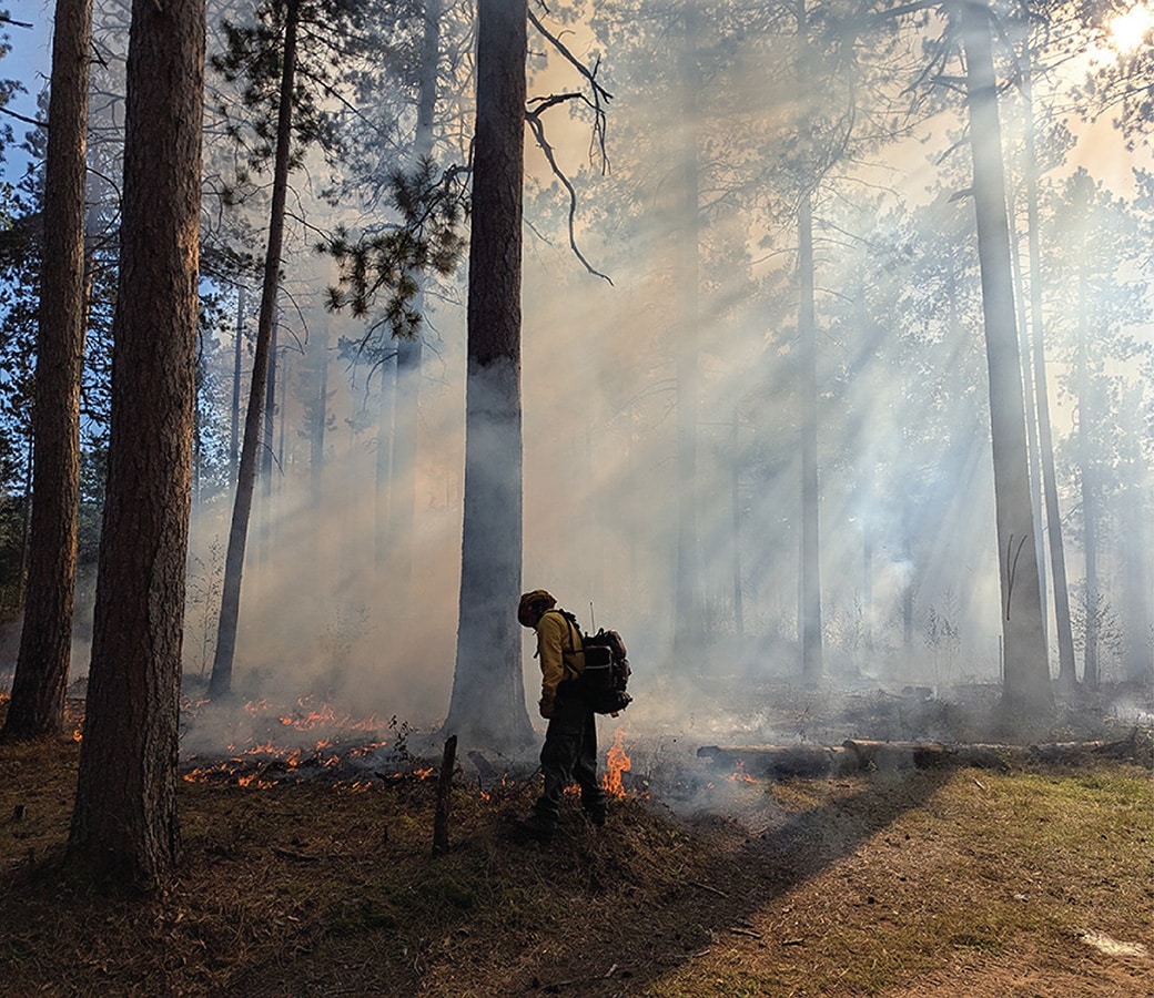 Forestry Center moves forward to return land to Fond du Lac Band ...