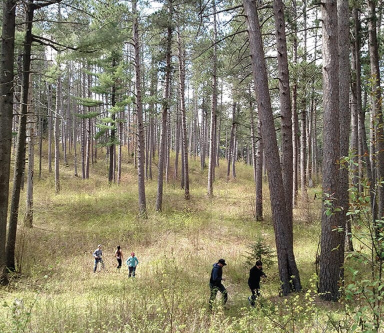 Forestry Center moves forward to return land to Fond du Lac Band ...