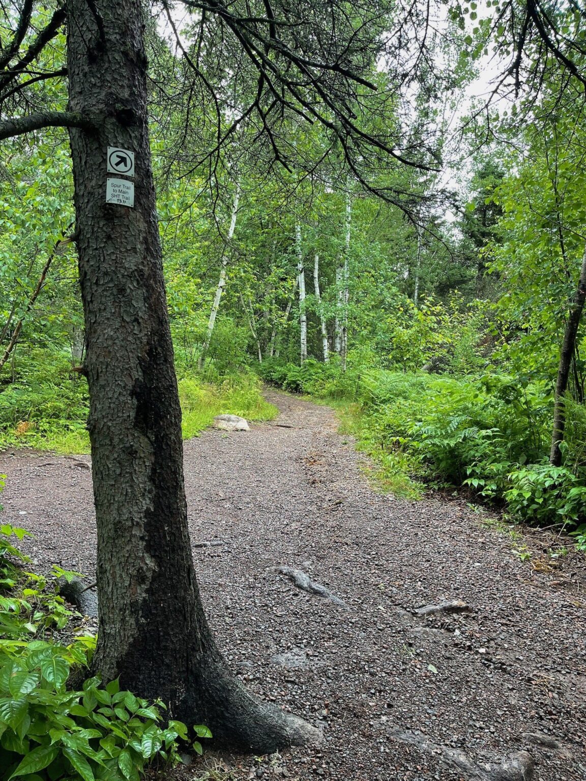 This one-mile North Shore waterfall hike delivers pure magic | Quetico ...