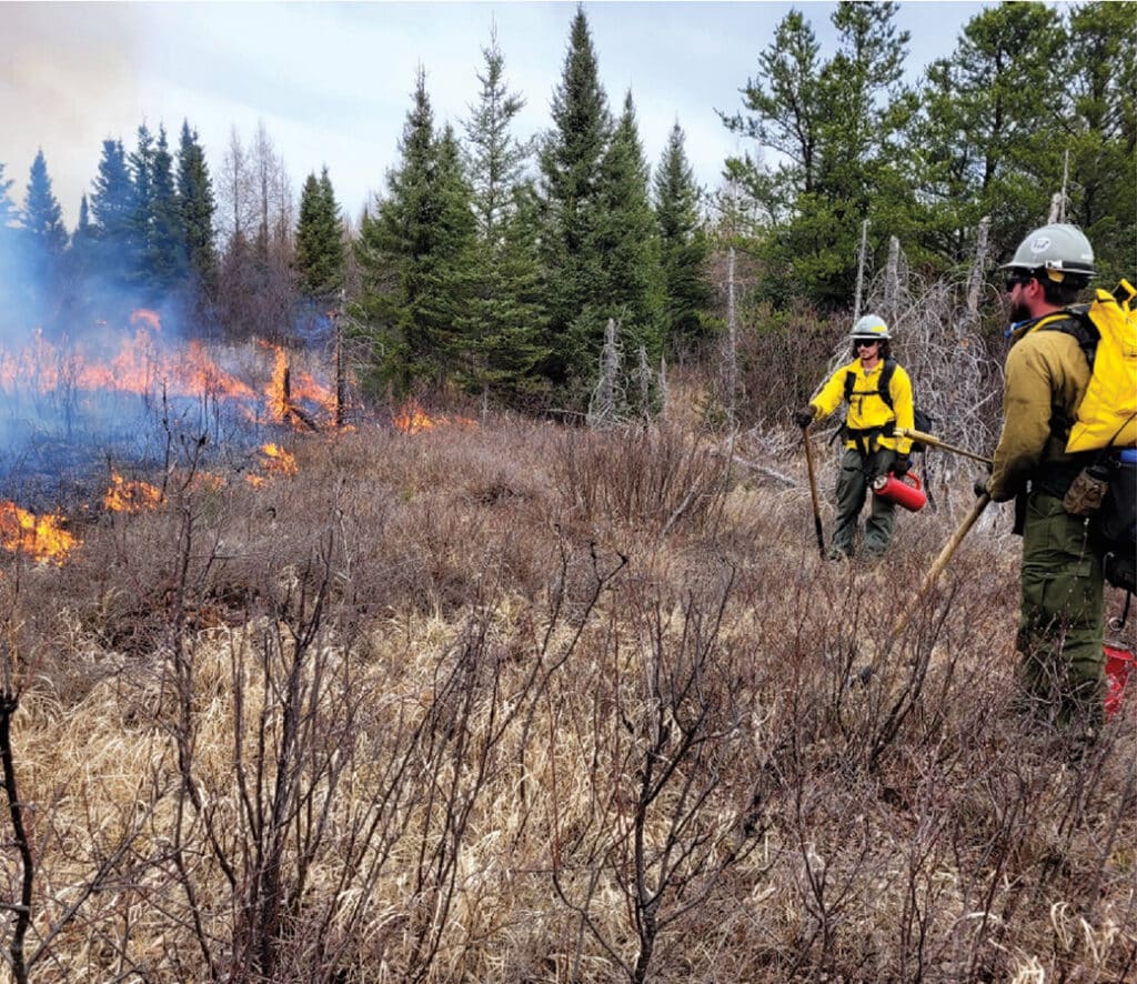 Prescribed burns planned for the Superior National Forest | Quetico ...